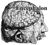 Encephalon 65 faces the facts – Mind Hacks